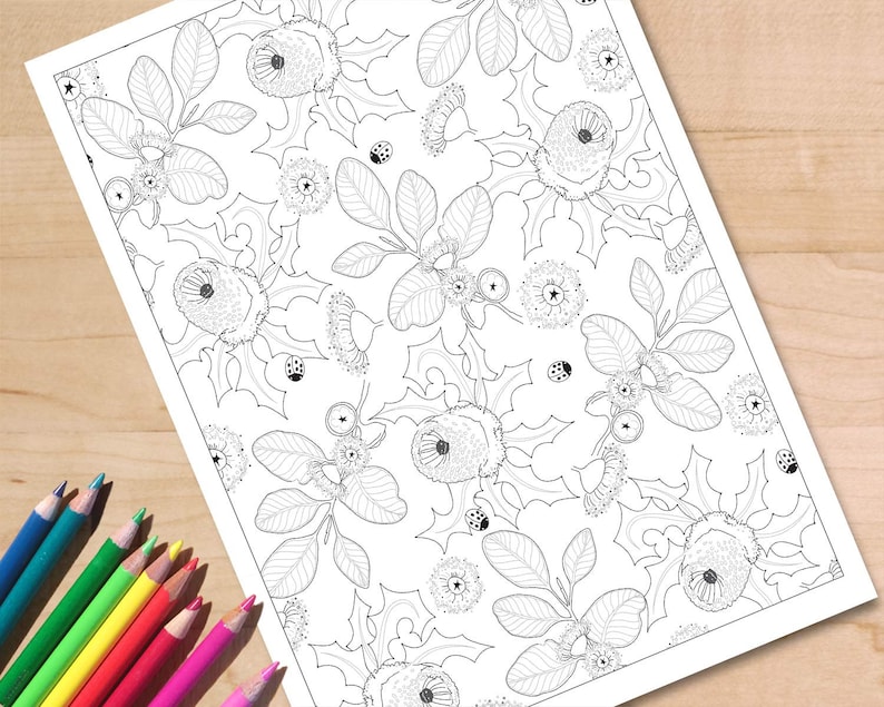 Australian Wildflower Colouring Page, Printable Banksia Native Flowers ...