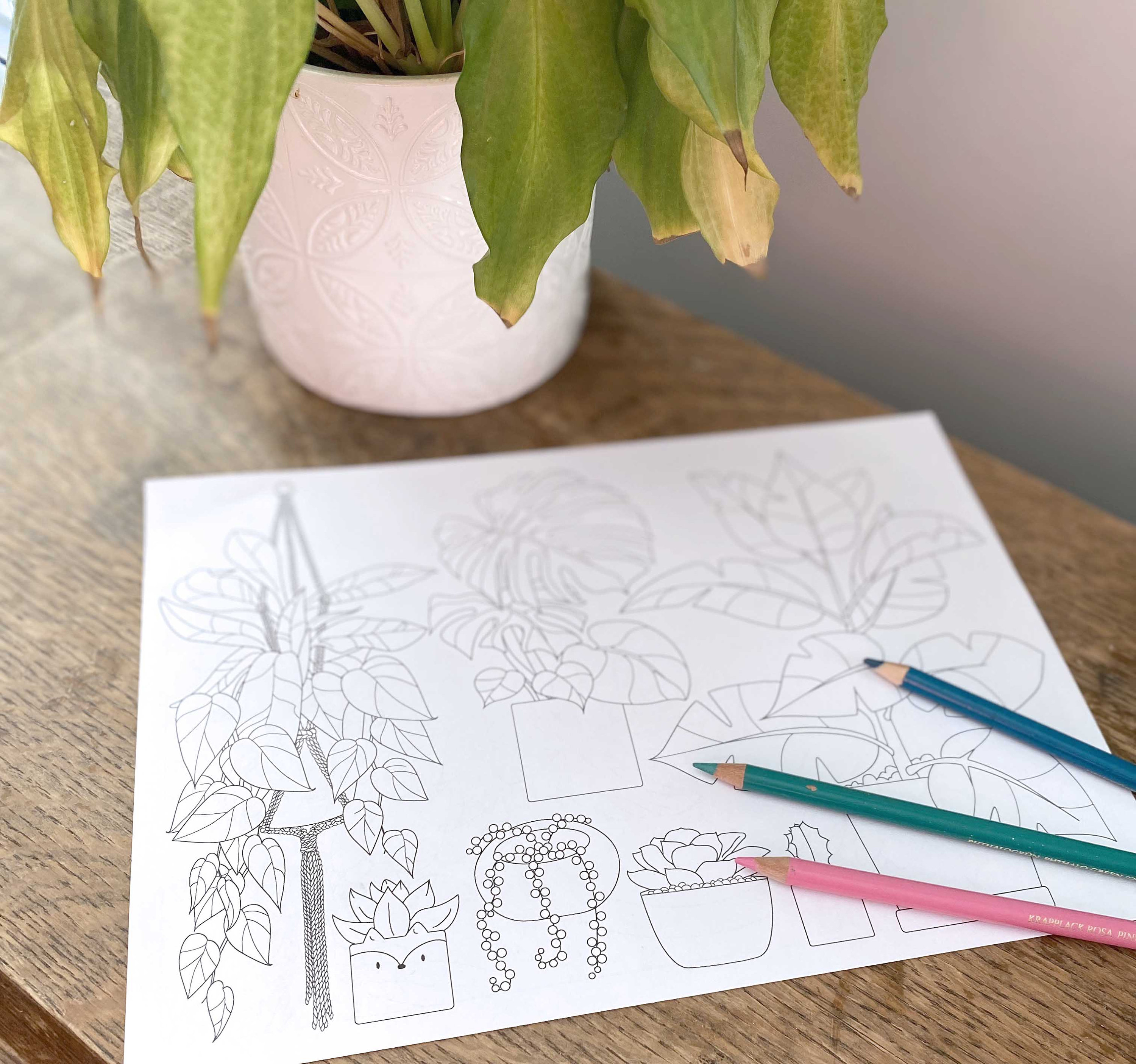 Printable Plant Coloring Pages, Tropical Houseplants Colouring ...