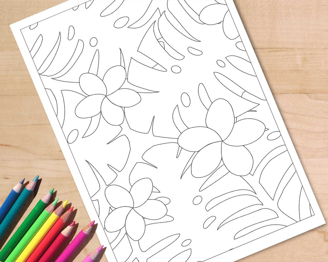 Flower Coloring Pages, Plant Colouring Page, Monstera and Frangipani ...