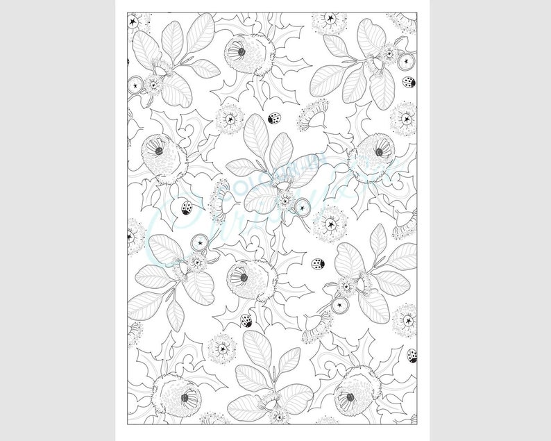 Australian Wildflower Colouring Page, Banksia Eucalyptus Print (PDF ...