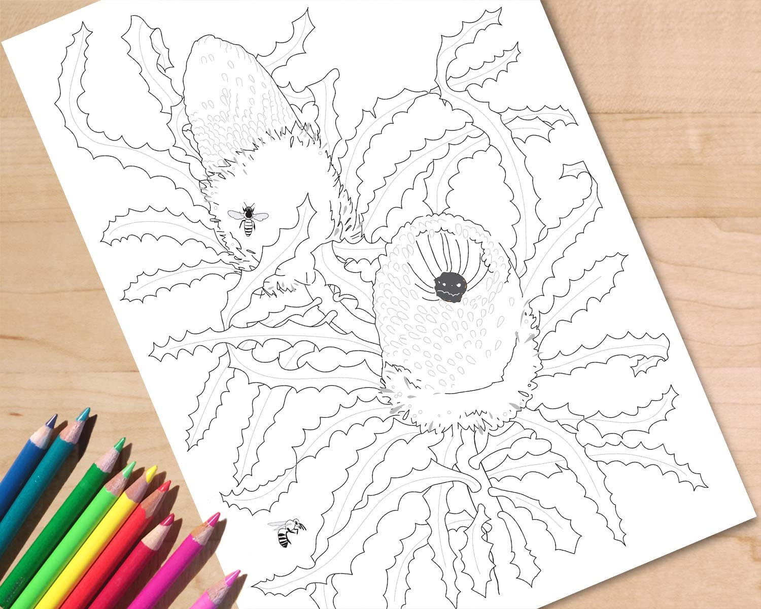 Native Wildflower Colouring Page, Australian Flowers Printable, Banksia ...