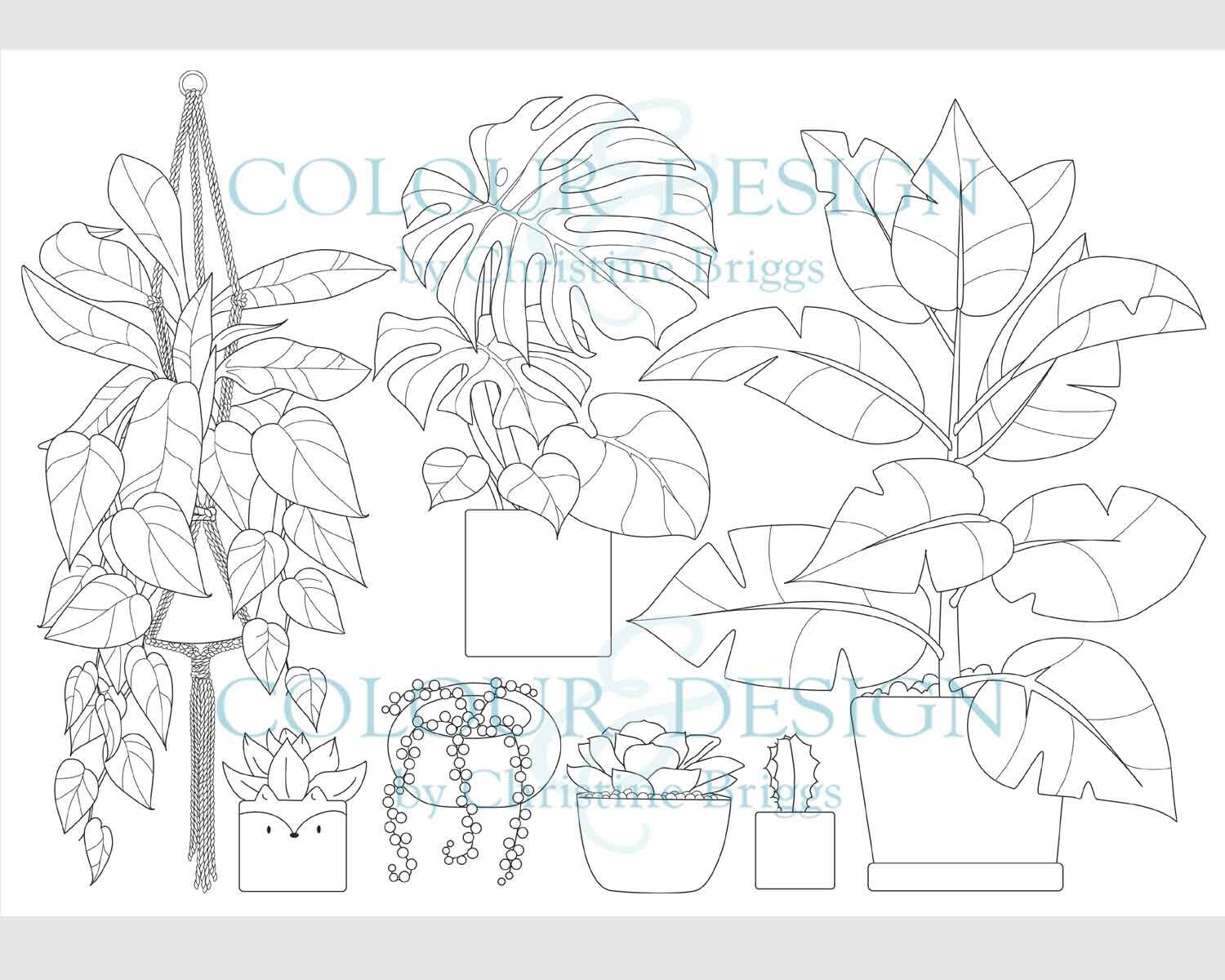 Printable Plant Coloring Pages, Tropical Houseplants Colouring ...
