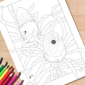 Banksia and Bees Colouring Page, Australian Wildflowers (PDF Printable ...