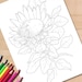 Protea Colouring Page, King Protea Printable, African Wildflower ...
