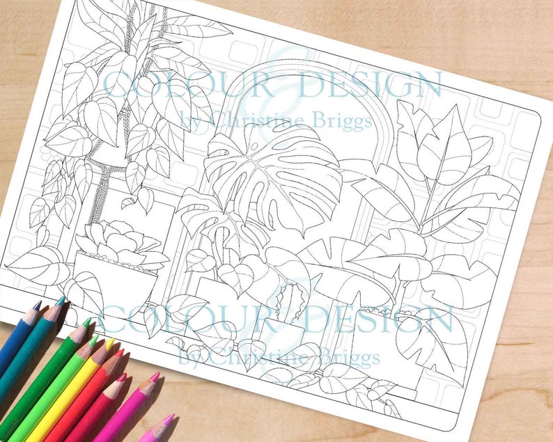 Printable Plant Coloring Pages, Tropical Houseplants Colouring ...