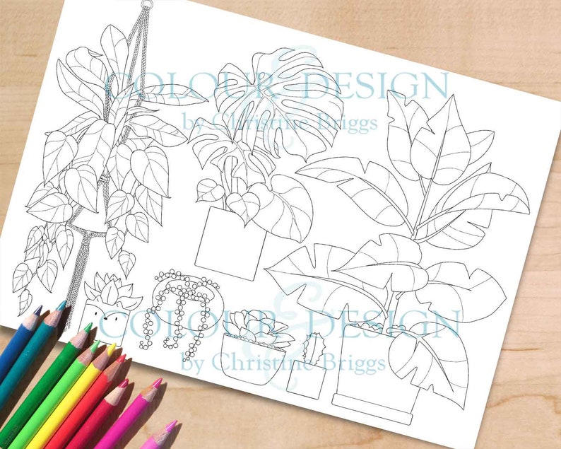 Printable Plant Coloring Pages, Tropical Houseplants Colouring ...