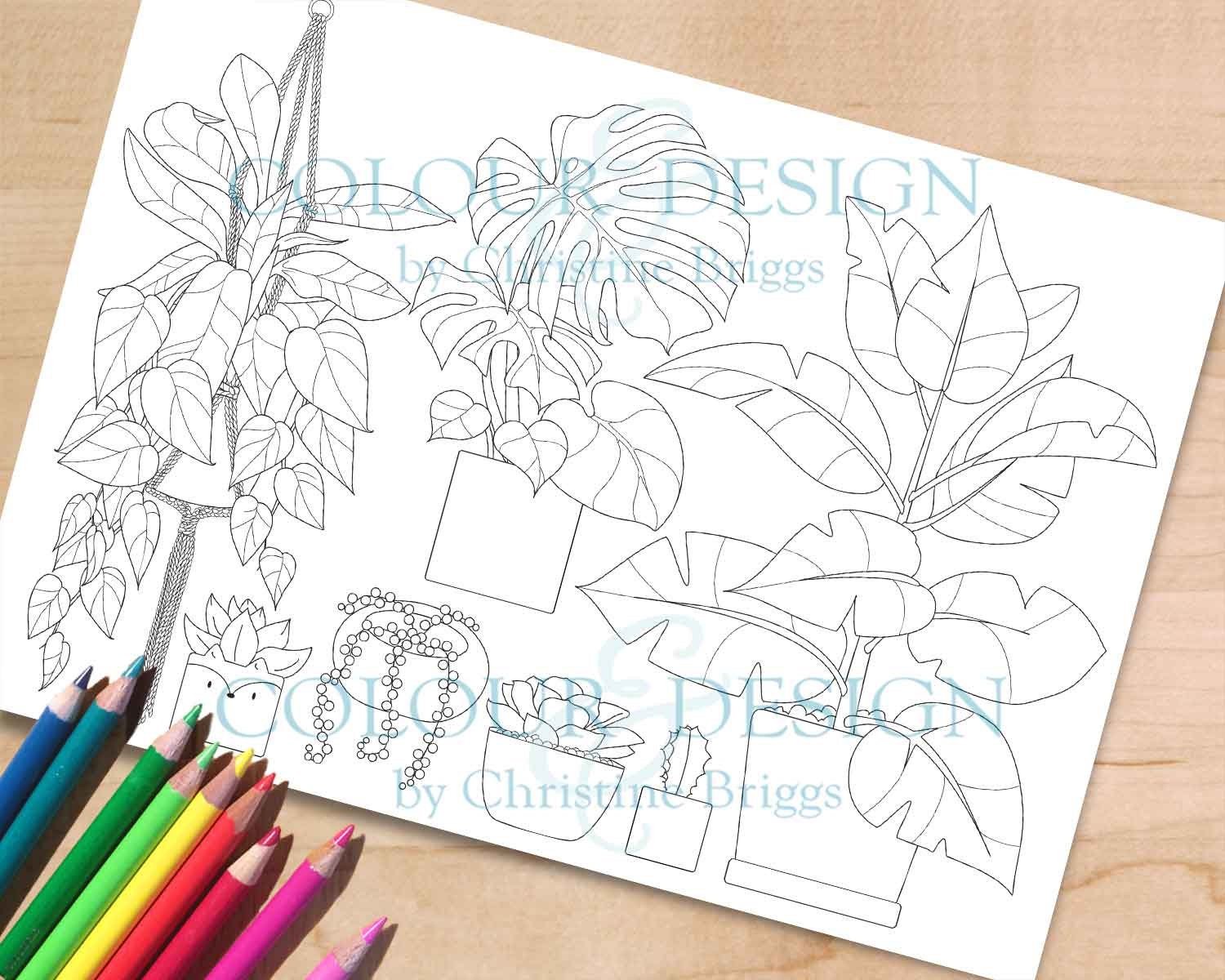 Printable Plant Coloring Pages, Tropical Houseplants Colouring ...