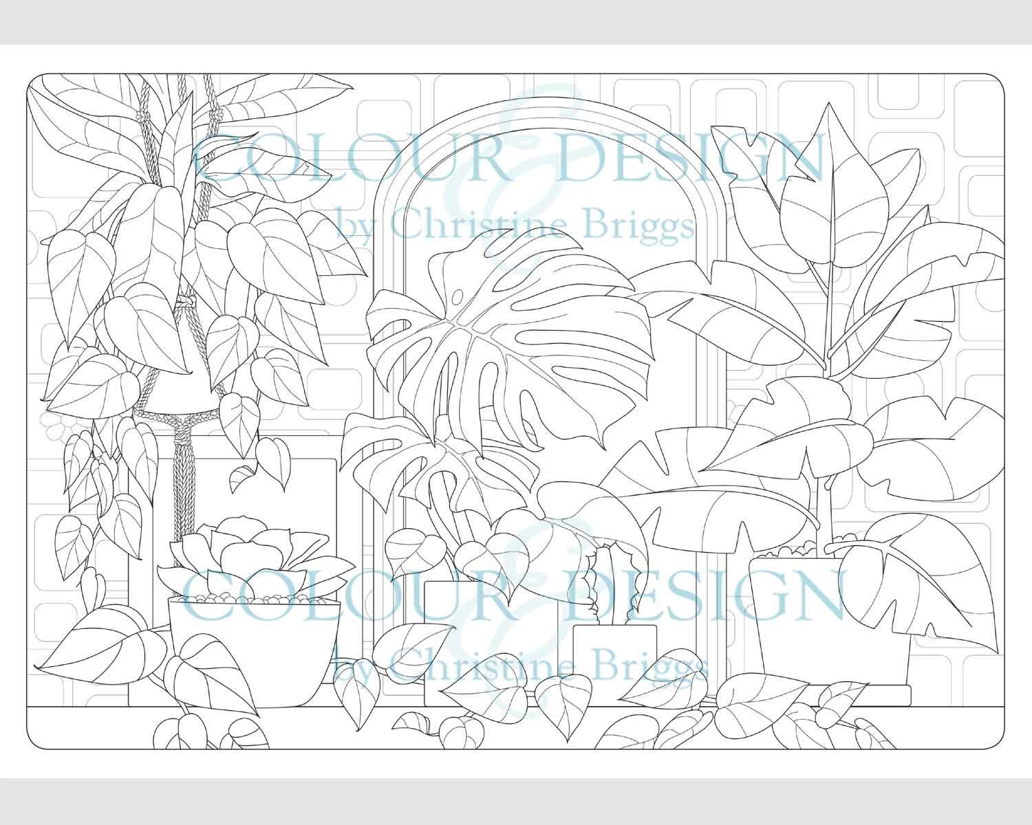 Printable Plant Coloring Pages, Tropical Houseplants Colouring ...