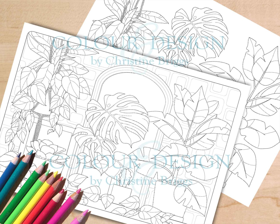 Houseplant Coloring Pages, Indoor Plants Printable, Monstera Colouring ...