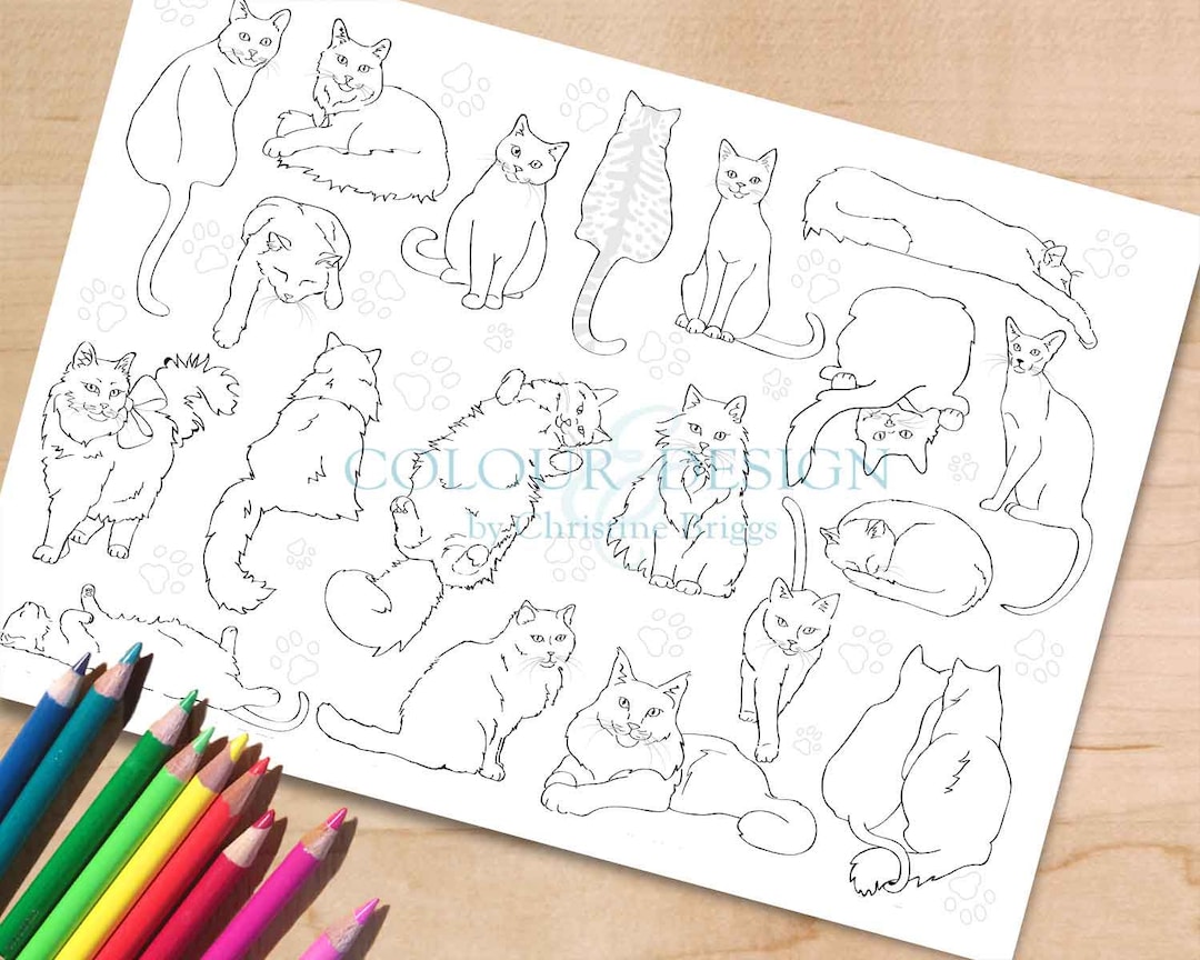 Cat Coloring Page, Realistic Cat Breeds Printable, Adult Colouring Page ...