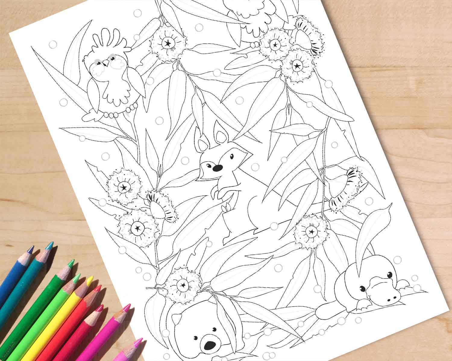 Australian Animals Colouring Page, Cute Bird Colouring Page, Kangaroo ...
