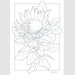 Protea Colouring Page, King Protea Printable, African Wildflower ...