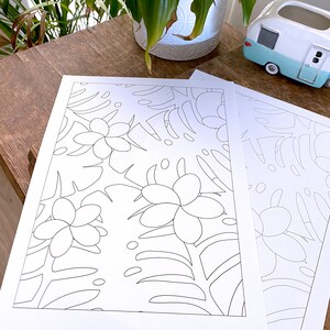 Flower Coloring Pages, Plant Colouring Page, Monstera and Frangipani ...