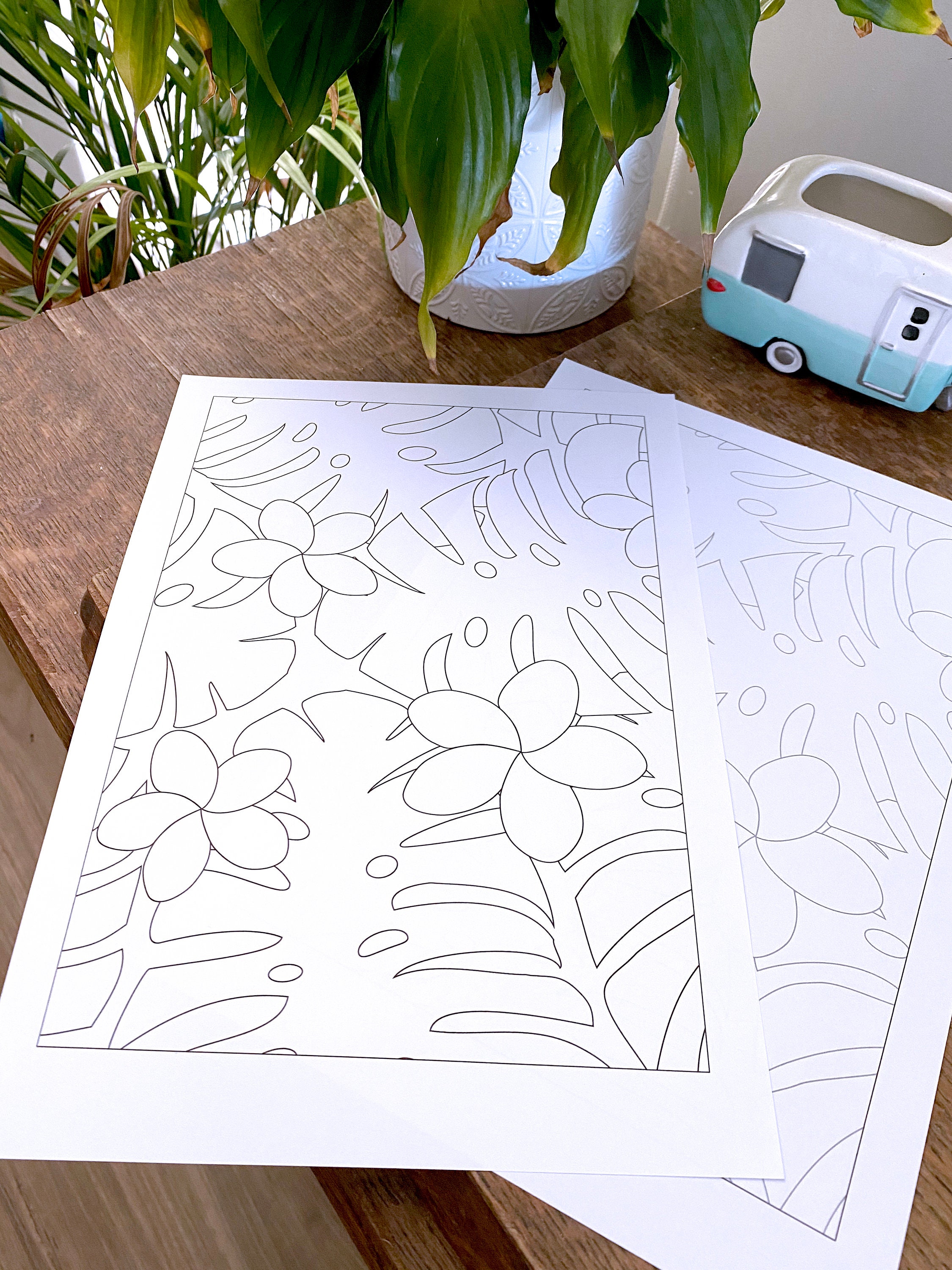 Flower Coloring Pages, Plant Colouring Page, Monstera and Frangipani ...