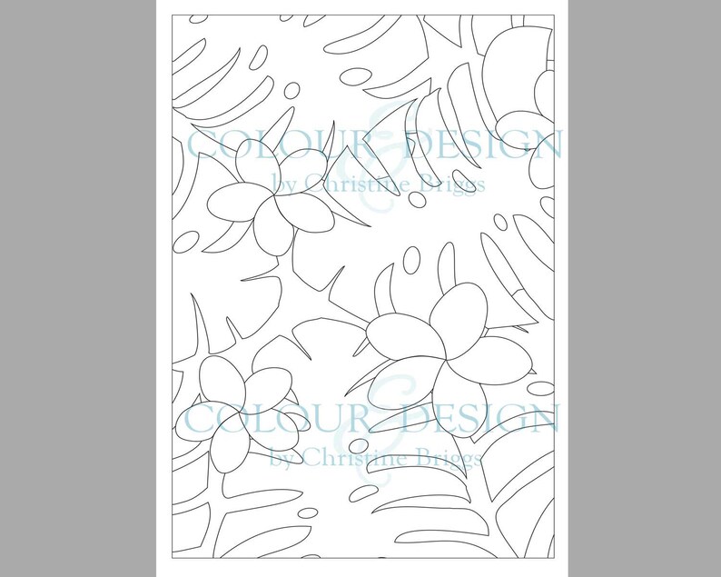 Flower Coloring Pages, Plant Colouring Page, Monstera and Frangipani ...
