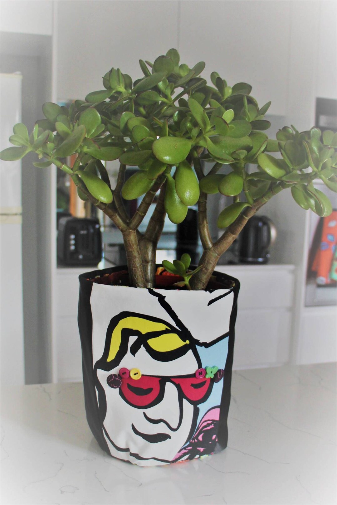 Extra Large Fabric Pot Cover-funny Face for Succulents - Etsy