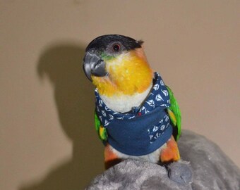 Bird clothing | Etsy