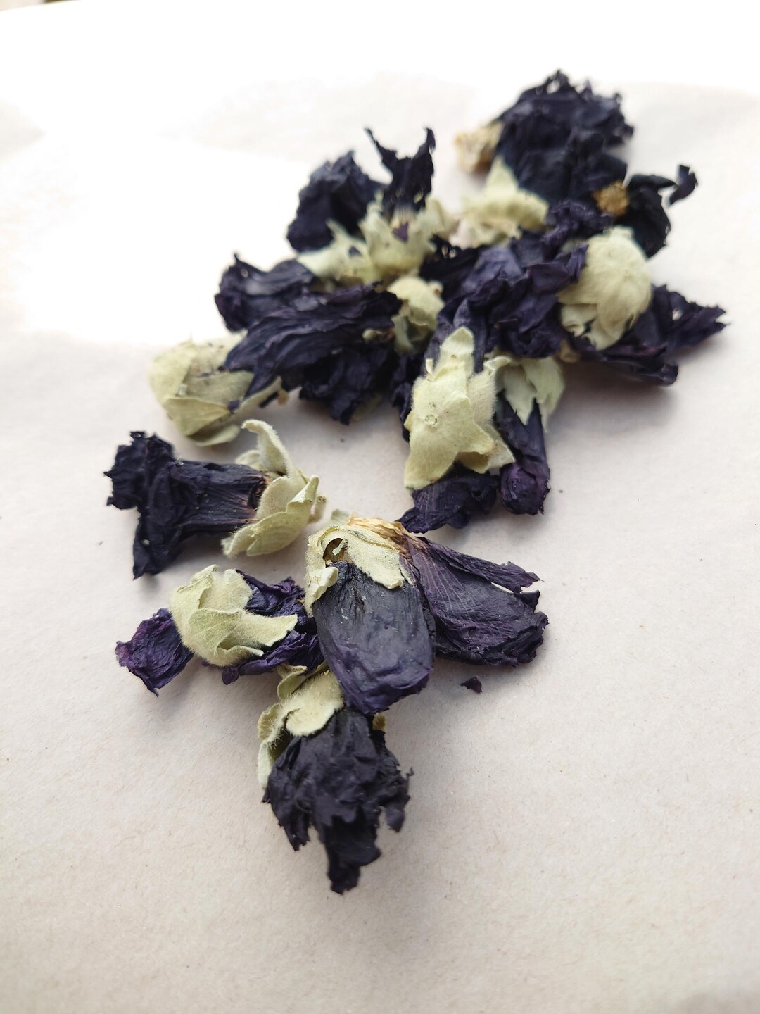 BLACK MALLOW ROSE Flowers for Natural Dyeing, Eco-printing, Hollyhock ...