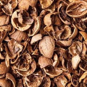 ORGANIC WALNUT SHELLS Dried for Natural Dyeing ~ Golden, Dark Brown Dye ...