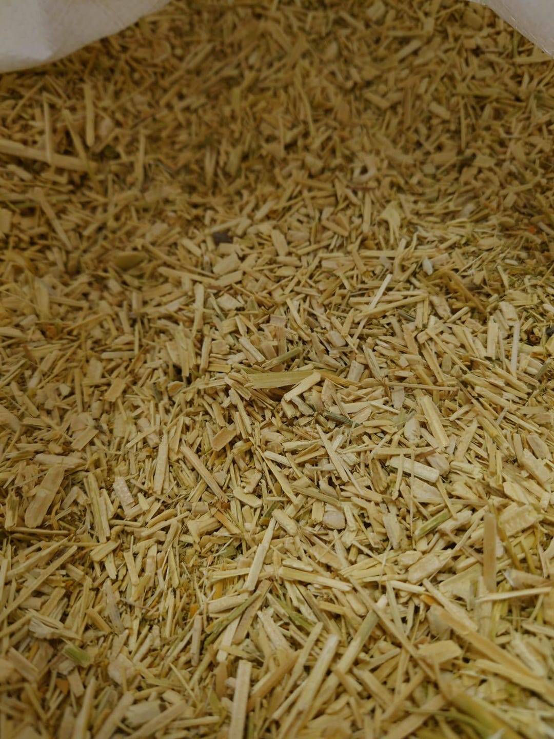 WELD DYE (reseda Luteola) German Weld for Natural Dyeing – 5–8% Yellow ...