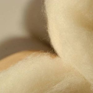 Stuffing Wool or Core Wool~ Perfect Wool for Needle Felting, Natural ...