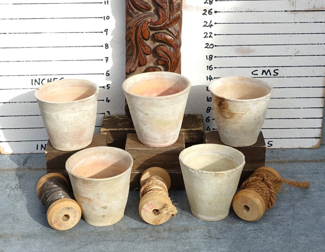 Five French Antique Seedling Pots, Five Terracotta Flower Pots, the ...