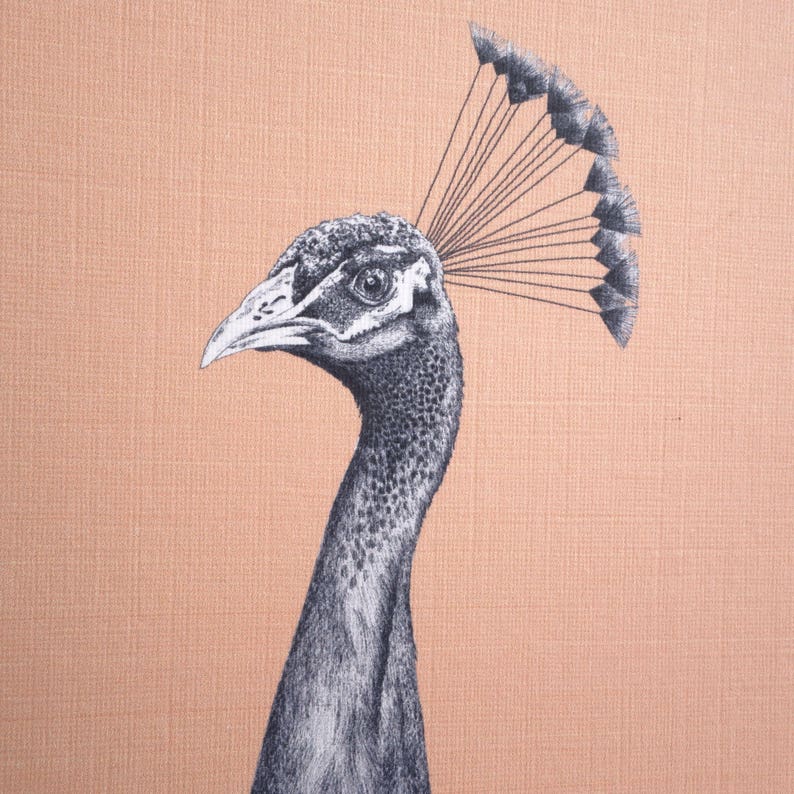 Peahen Print: A3 British Bird Illustration, Modern Wall Art - Etsy