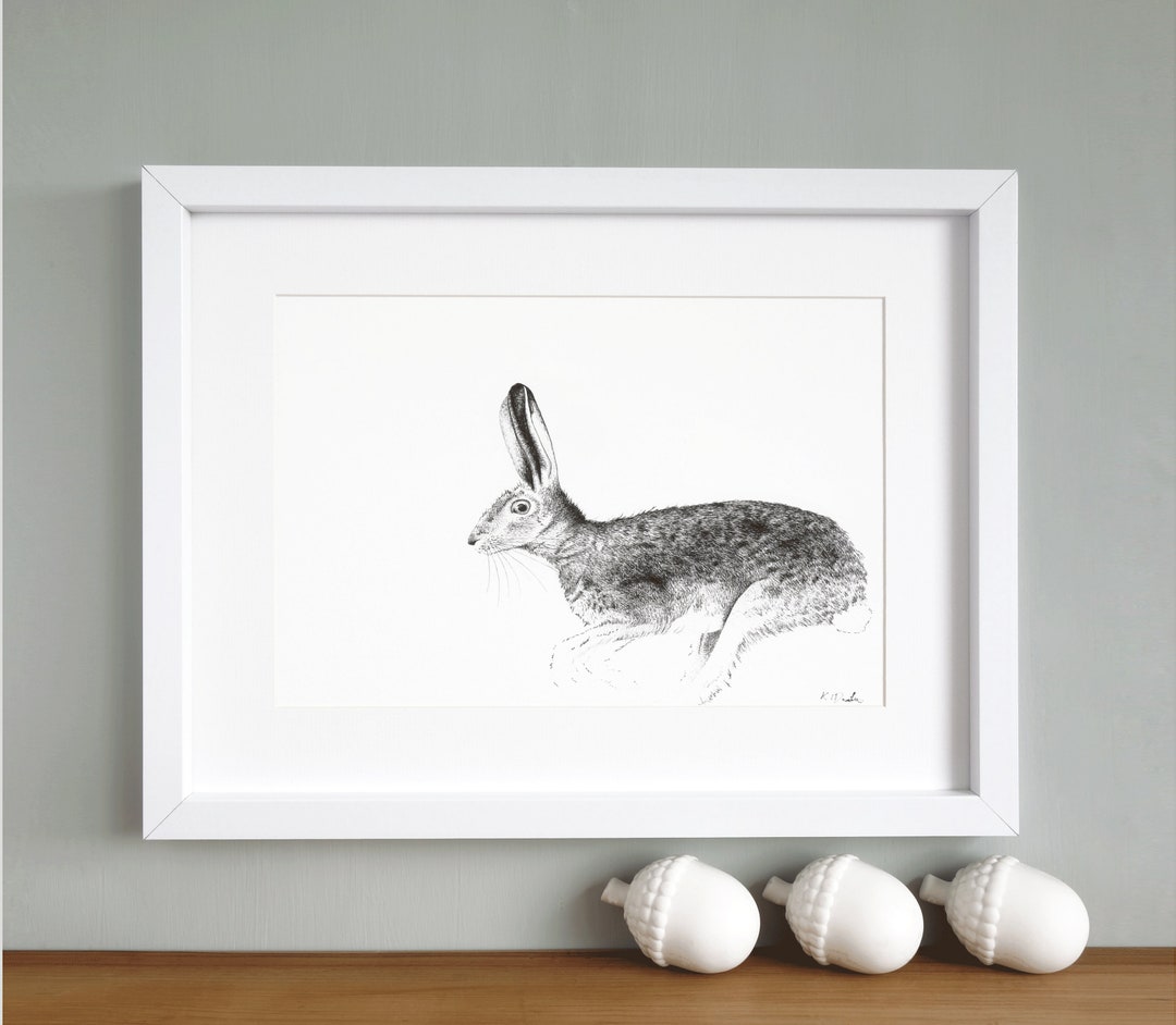 British Hare Print - A4 Hare Illustration - Wildlife Art - Nature Gift ...