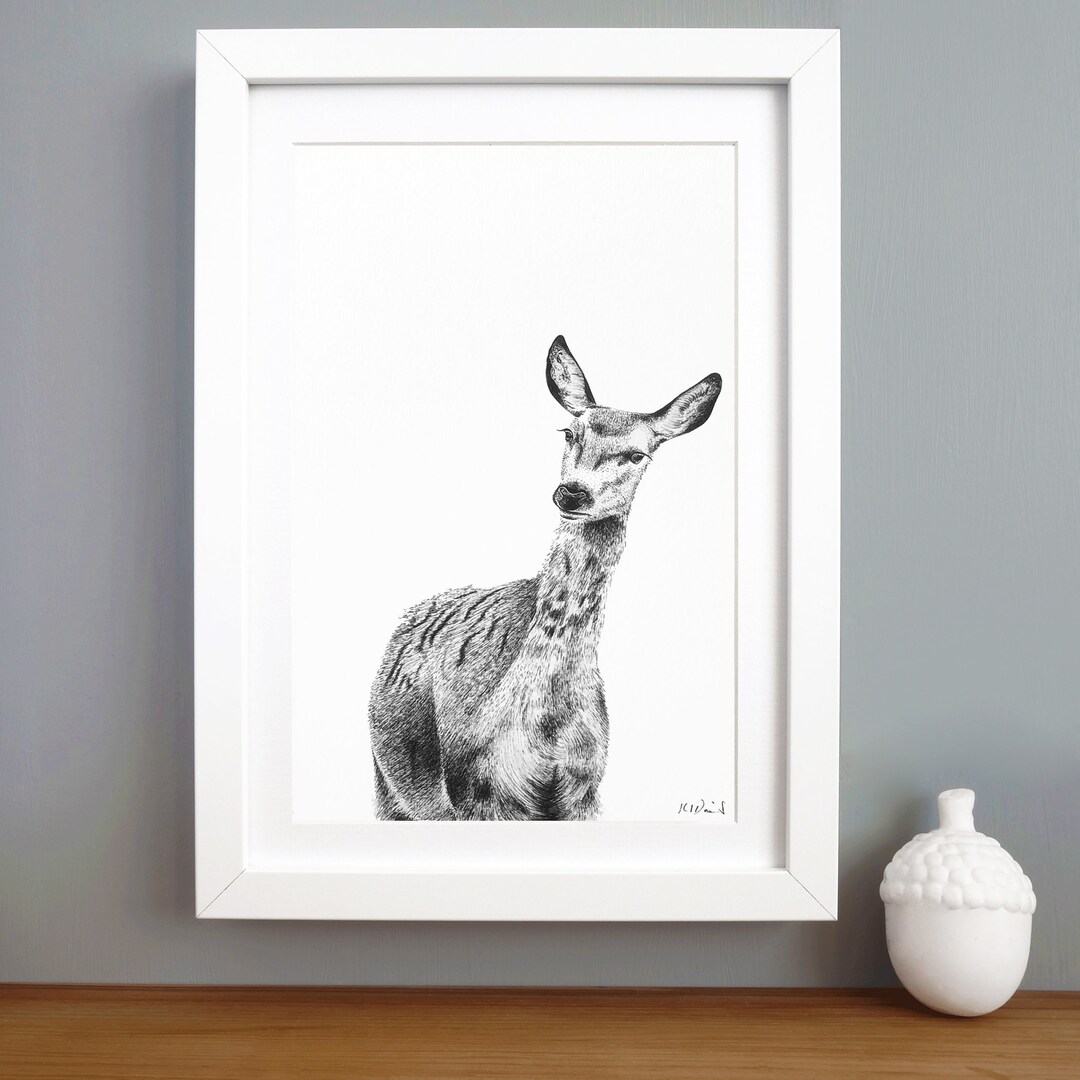 Doe Print: A4 Black and White Deer Illustration - Etsy