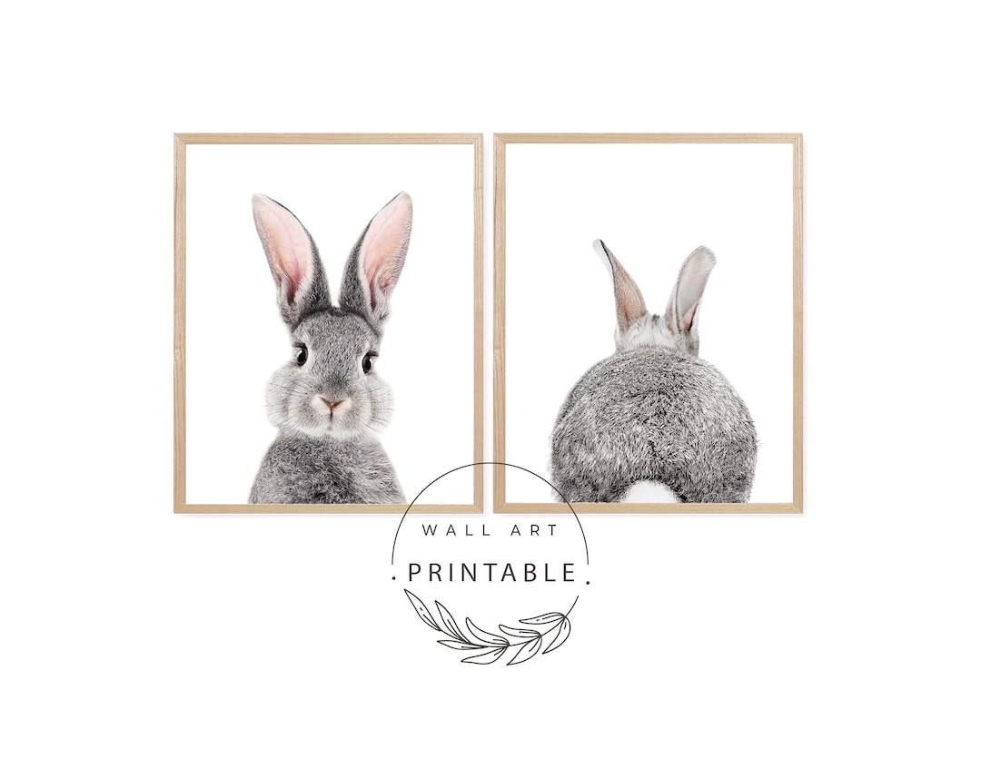 Printable Bunny Print Set of 2 Digital Download Printable - Etsy