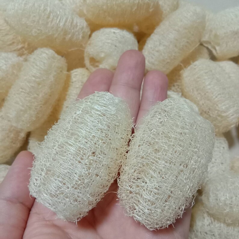BULK price 50 Pcs Luffa 5cm Wholesale natural luffa fiber for | Etsy