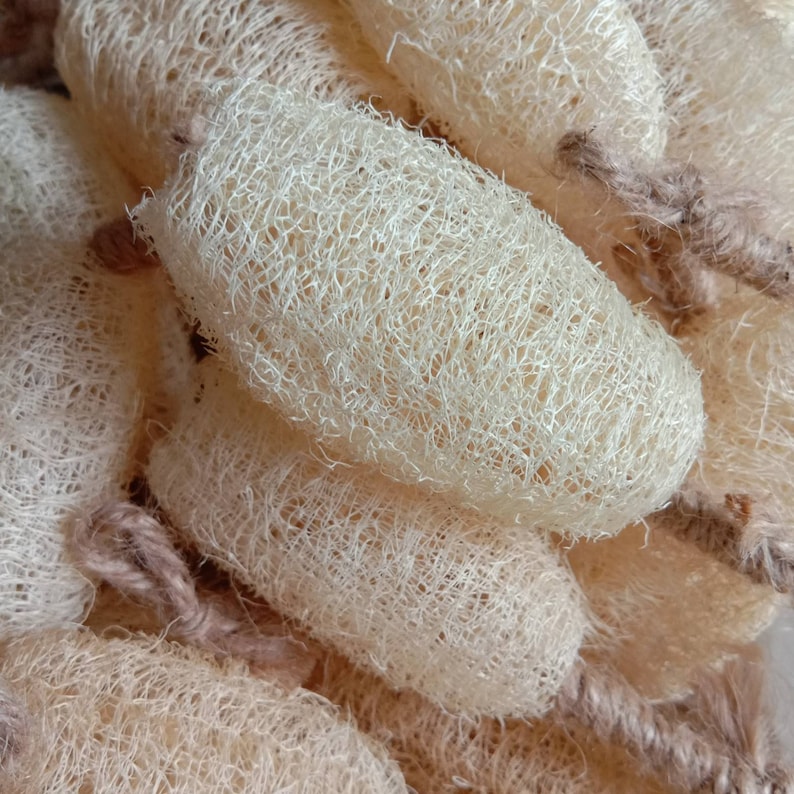 BULK price 100 Pcs Luffa 8cm Wholesale natural luffa fiber | Etsy