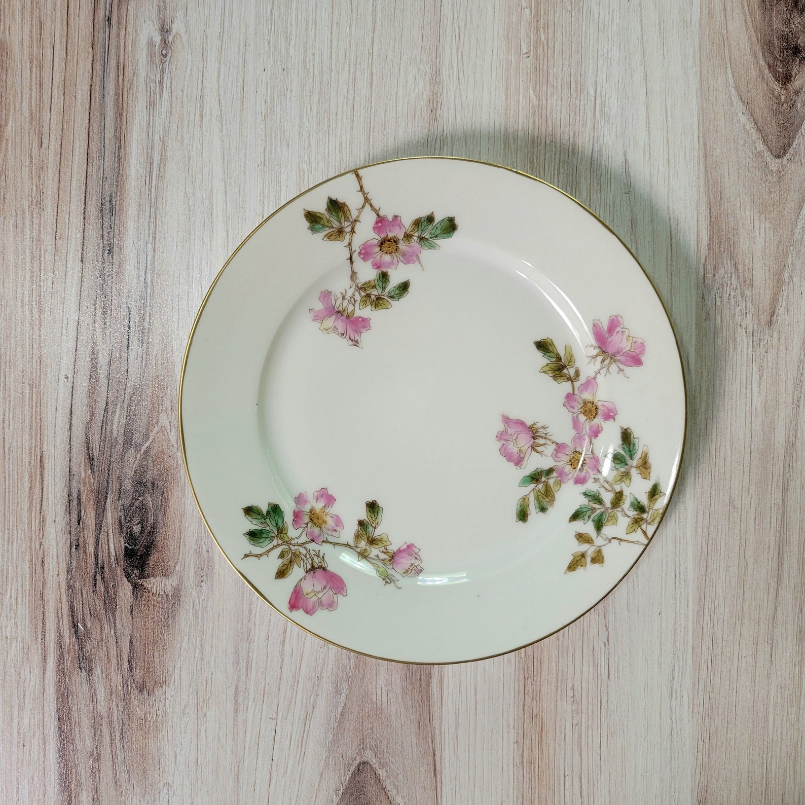 Haviland Plate, Limoges French Porcelain, 8 Inch Plate - Etsy