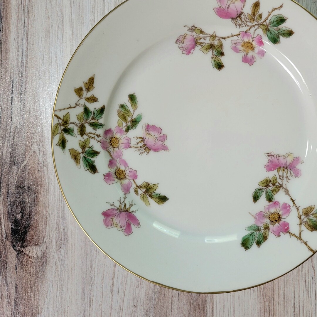 Haviland Plate, Limoges French Porcelain, 8 Inch Plate - Etsy