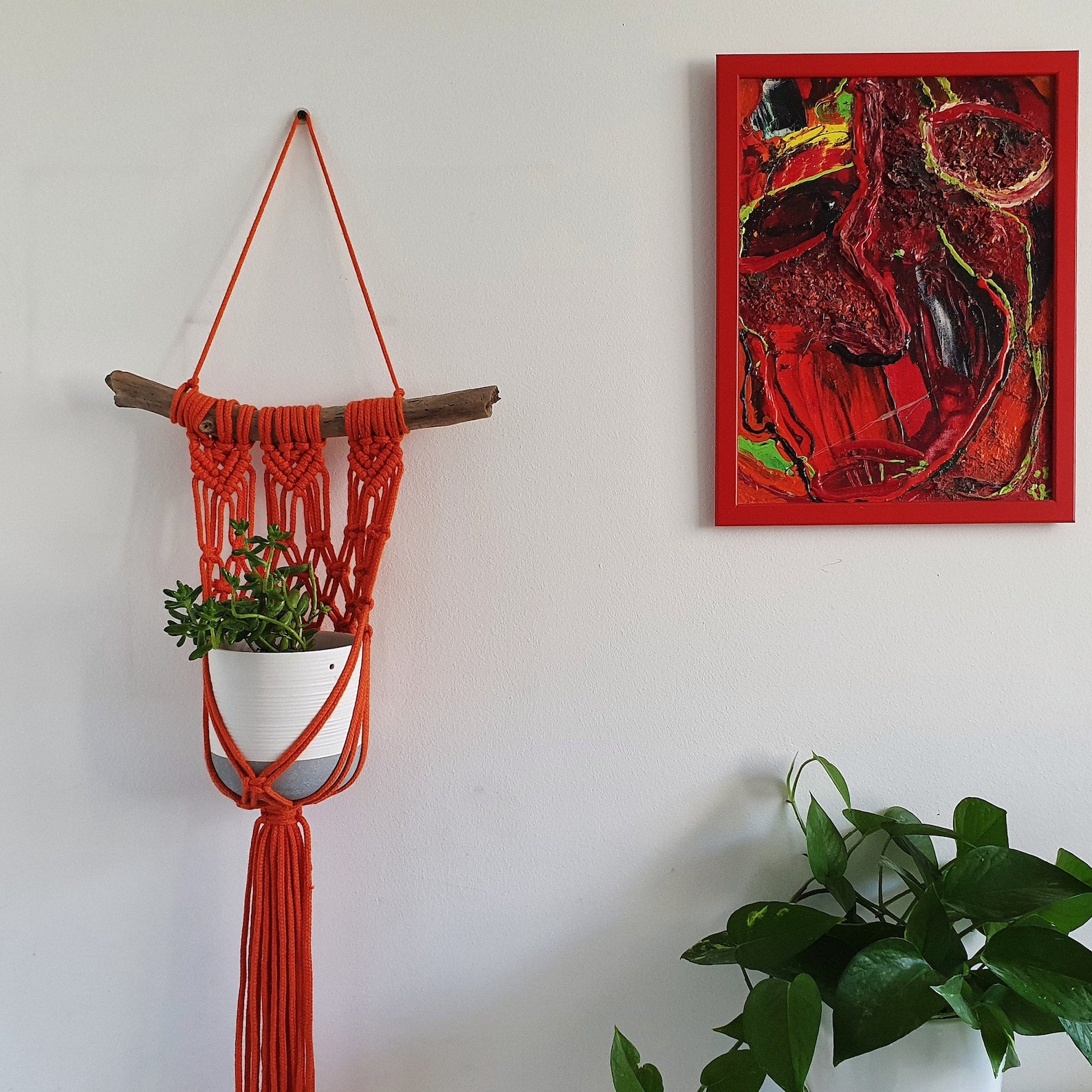 Macrame Plant Hanger / Hanging Plant Pot / Customisable Planter ...