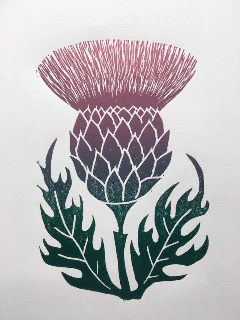 Flower of Scotland Thistle Linoprint - Etsy