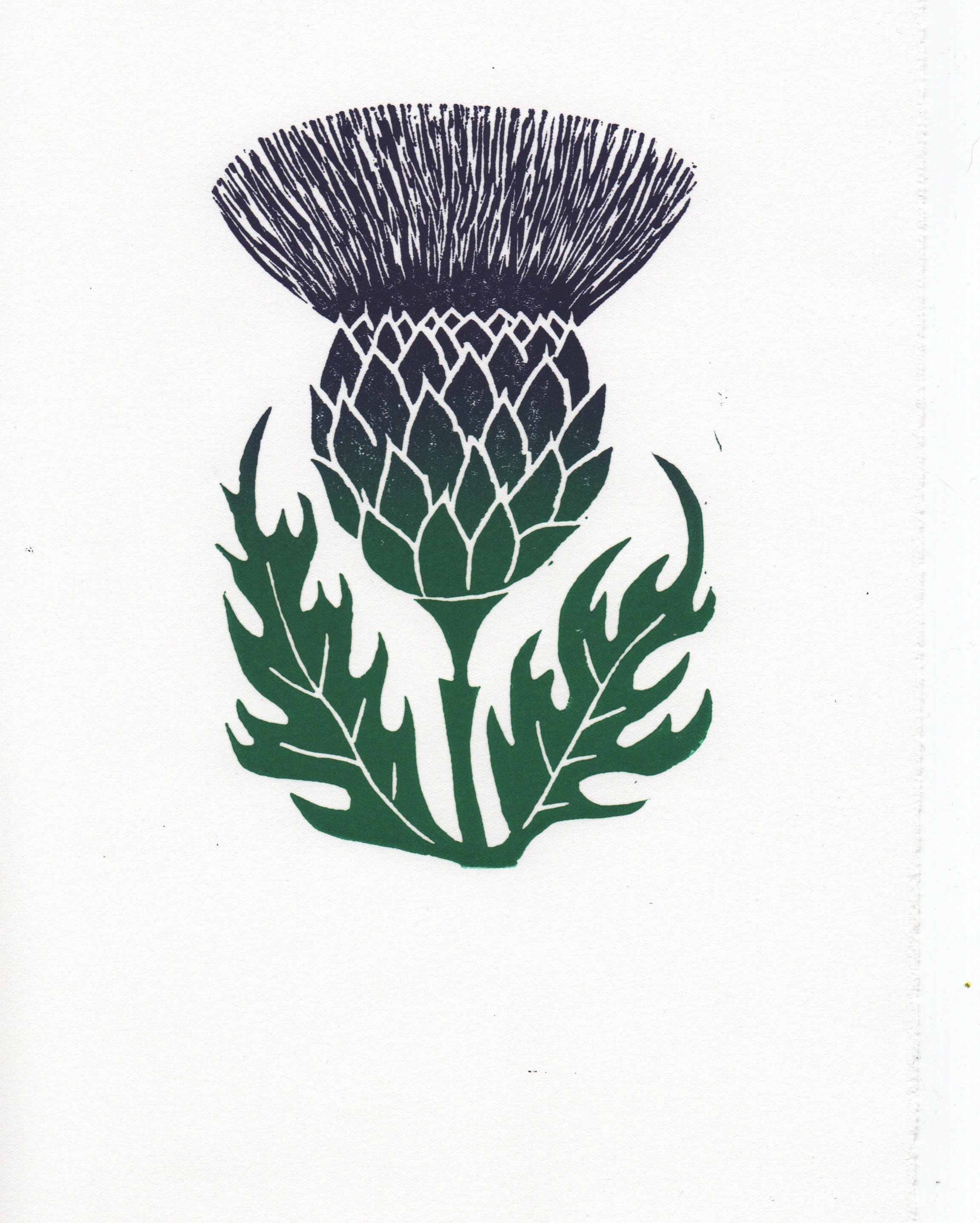 Scottish Thistle Bone China Mug - Etsy