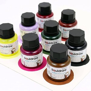 Liquidraw Coloured Drawing Ink Set India Ink, Waterproof, Set of 20 ...