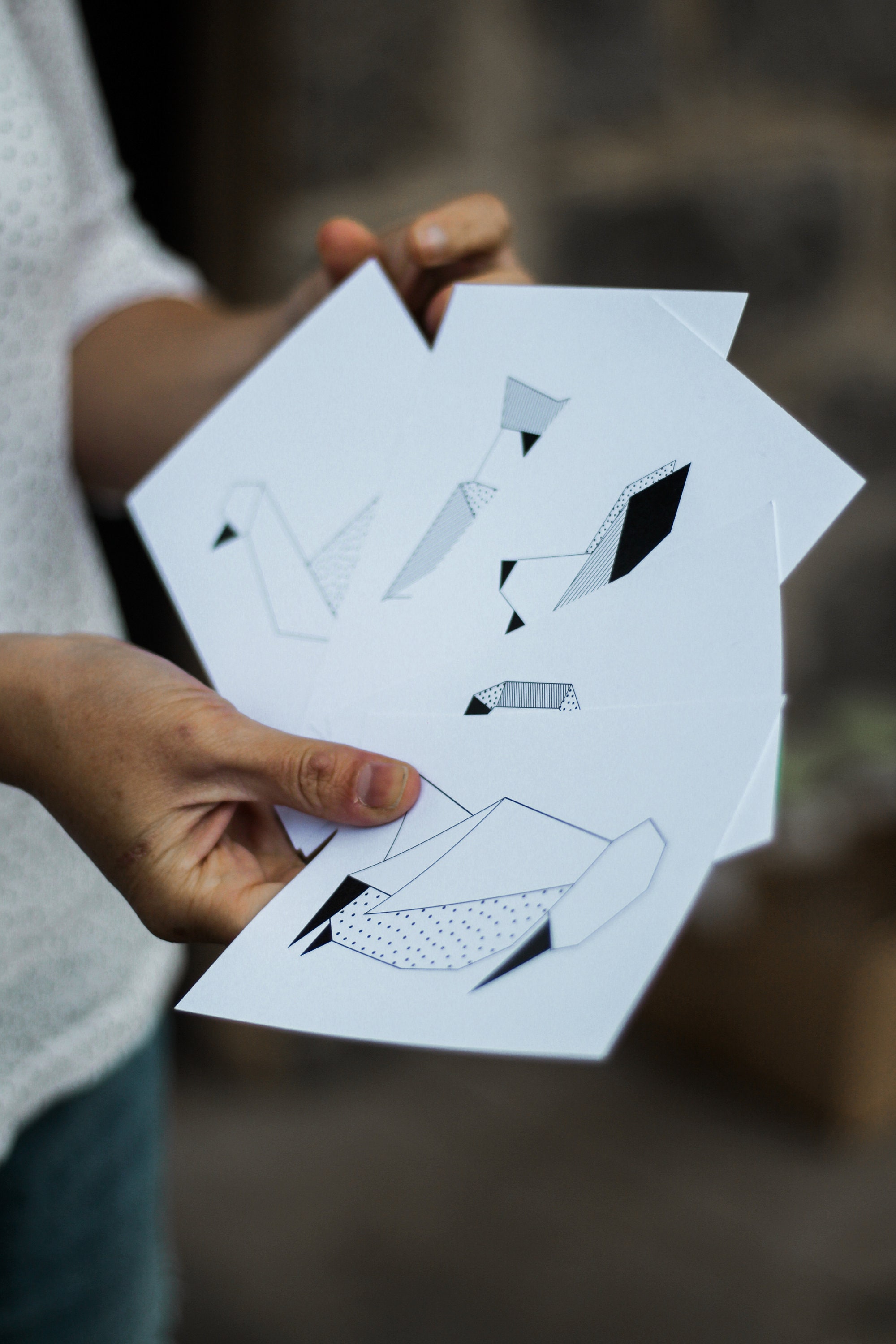 ORIGAMI POSTCARD Pig/black&white Postcards/minimalistic - Etsy