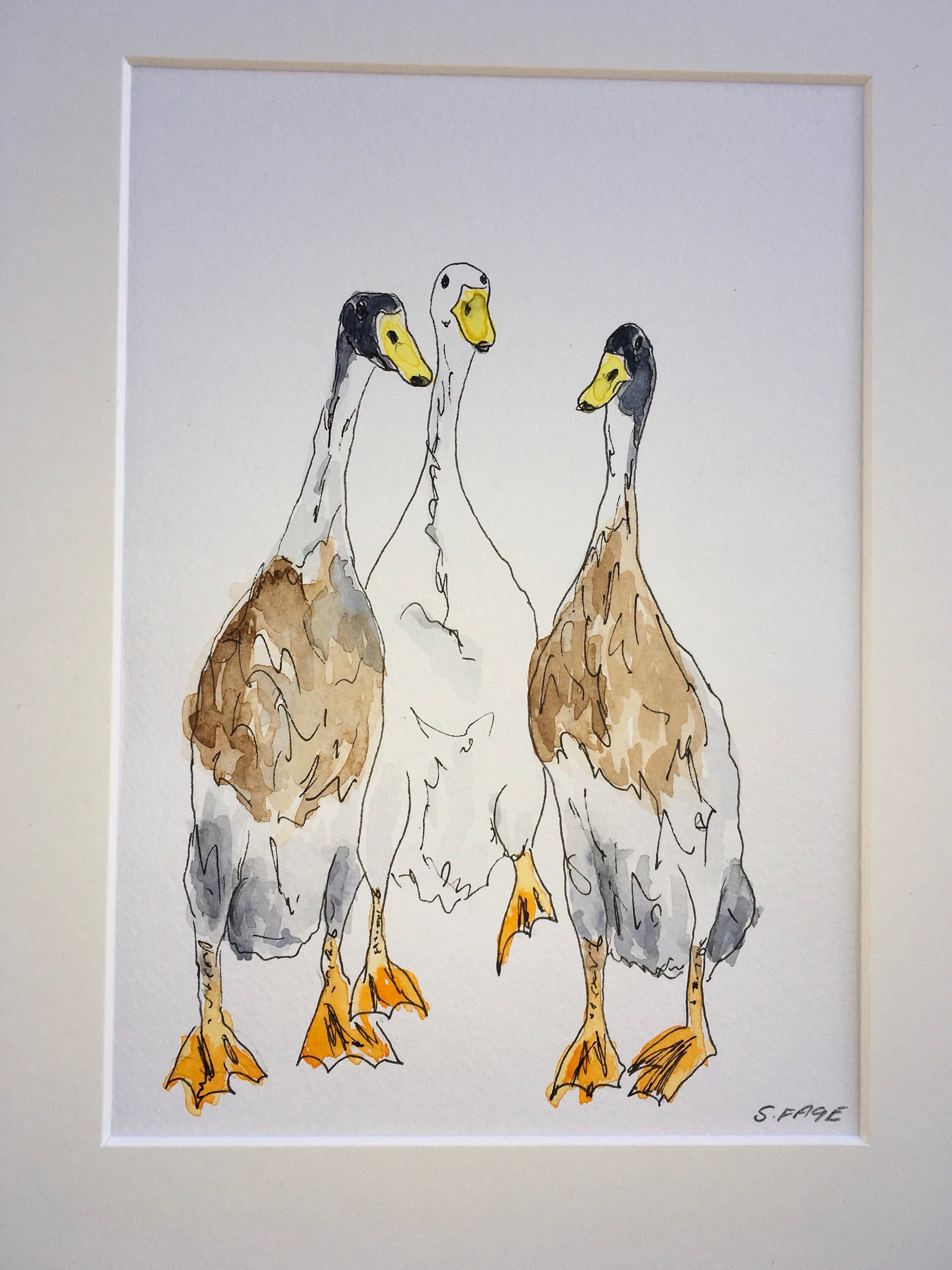 Indian runner ducks watercolour duck art animal art | Etsy