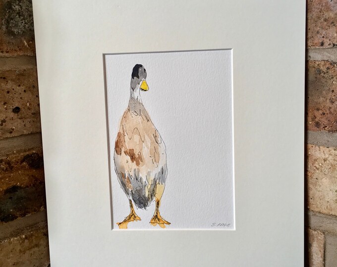 Watercolour Indian Runner Duck Duck Art Signed and Mounted - Etsy