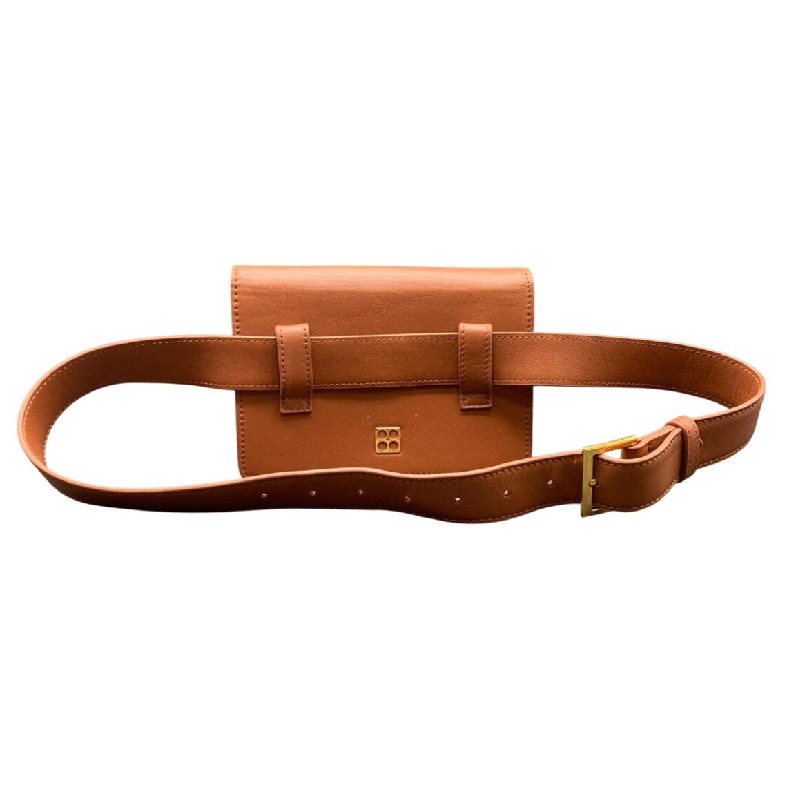 Parisa Wang Allured Small Leather Belt Bag – Tan Gold Buckle, Excellent ...