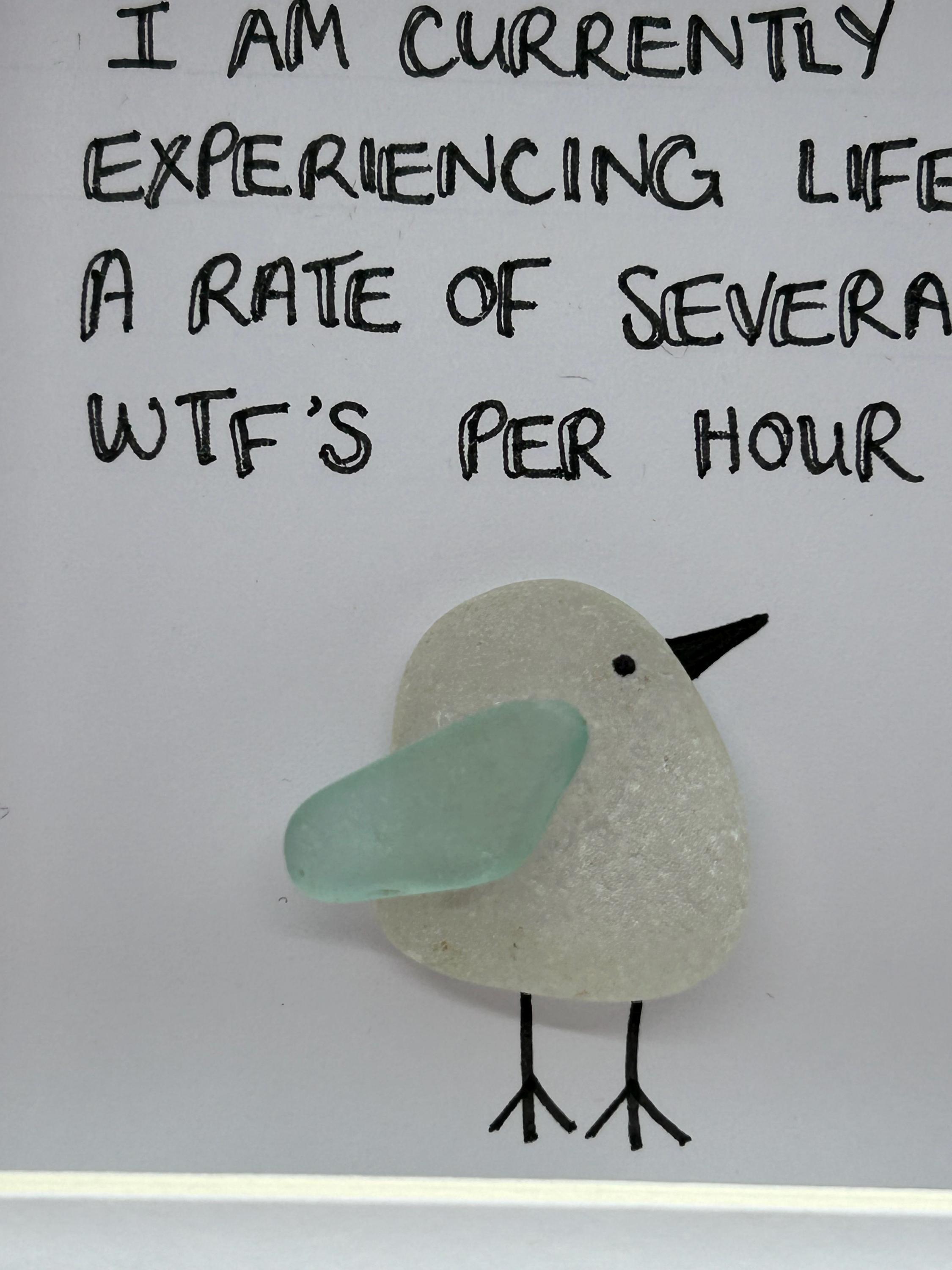 Sea Glass Art Frame Life at Rate of Several Wtfs per Hour WTF Funny ...