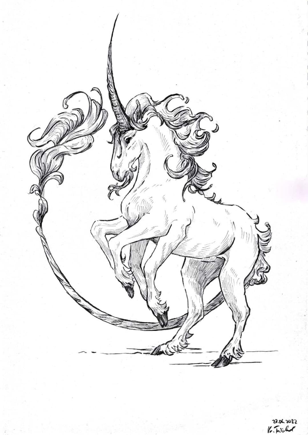 Ink Illustration "unicorn" Original - Etsy