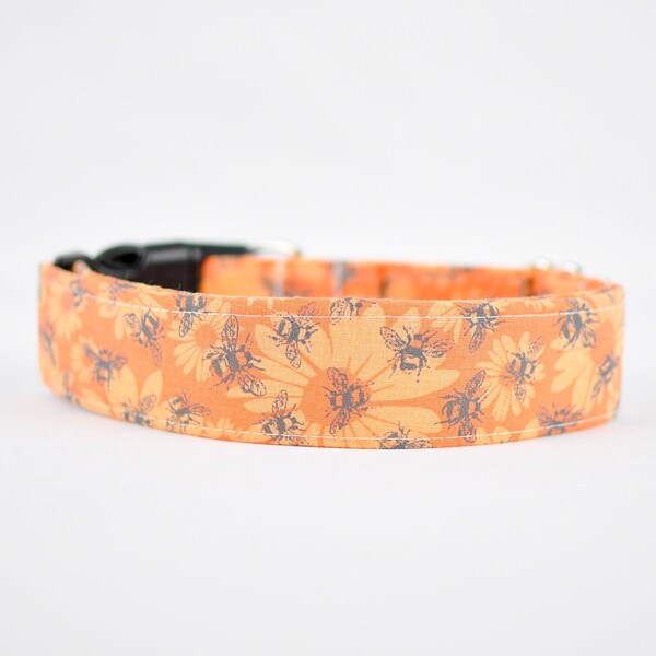 Orange Dog Collar - Etsy