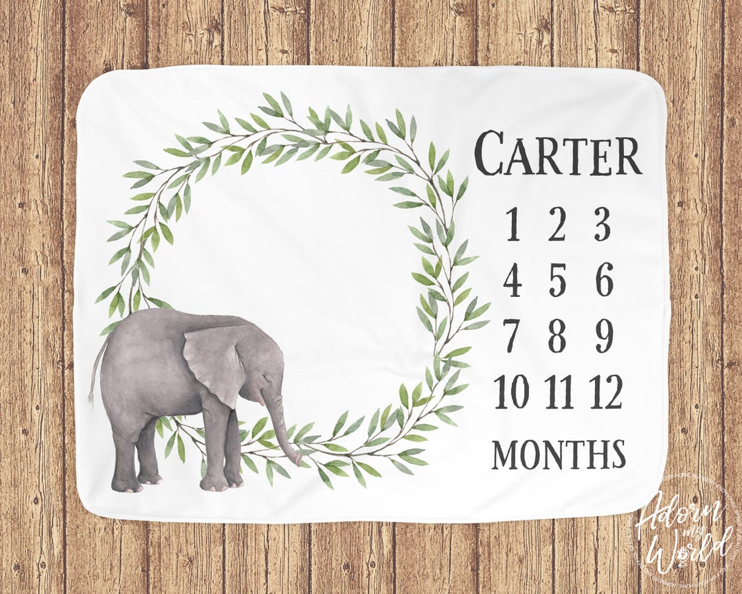 Monthly Milestone Blanket, Personalized Milestone Blanket, Baby ...