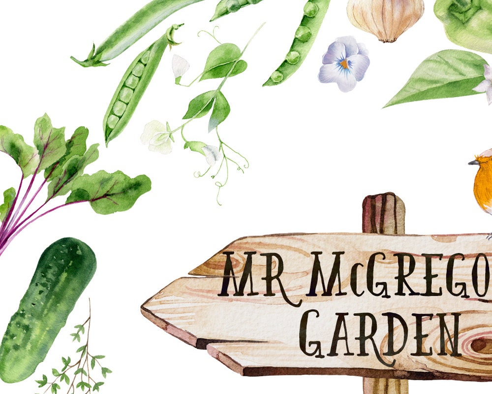 Mr Mcgregor's Garden Nursery Wall Art Birthday Sign - Etsy