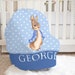 Peter Rabbit Car Seat Cover Car Seat Canopy Nursing Privacy - Etsy