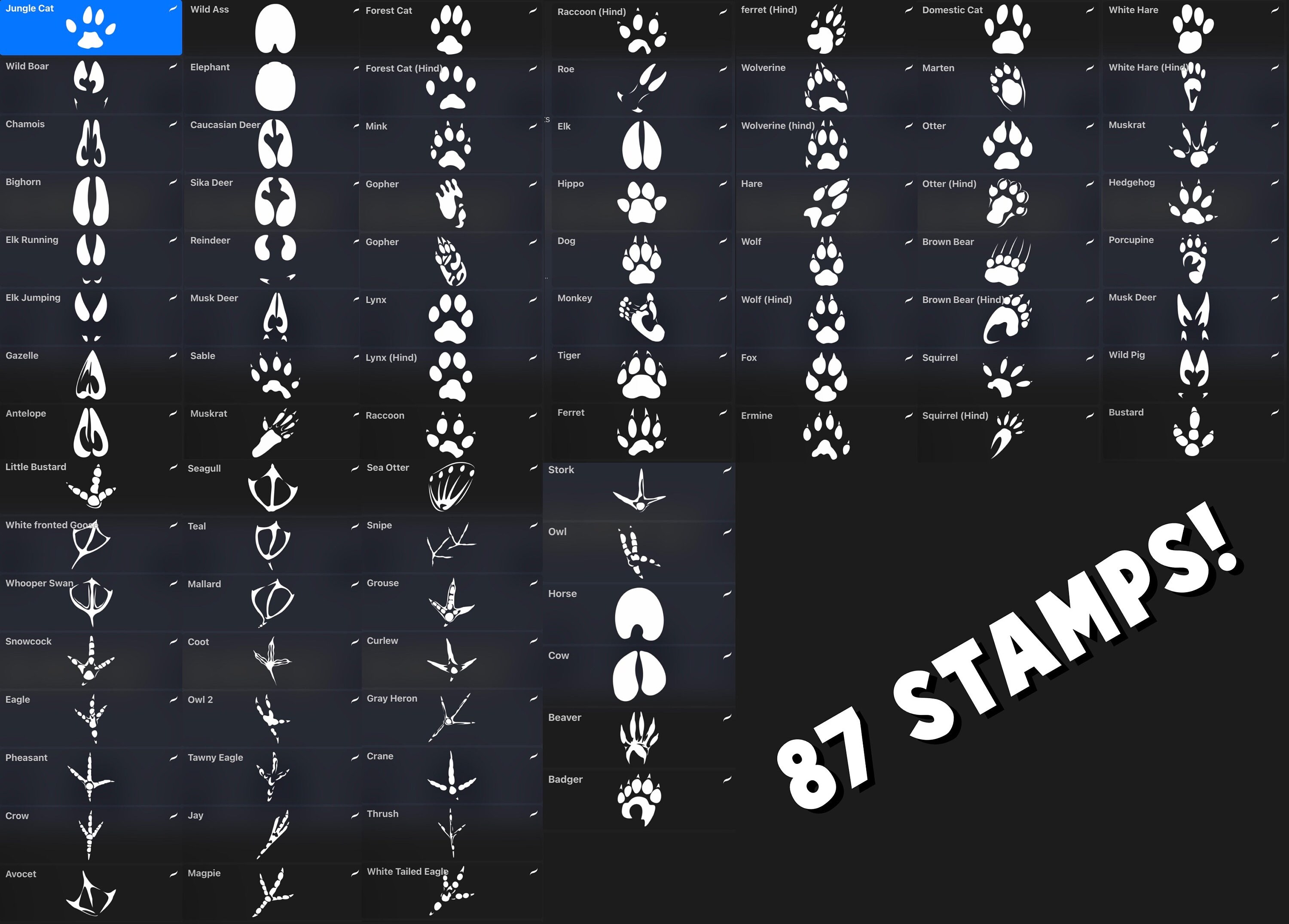 Animal Footprint Stamps for Procreate - Etsy