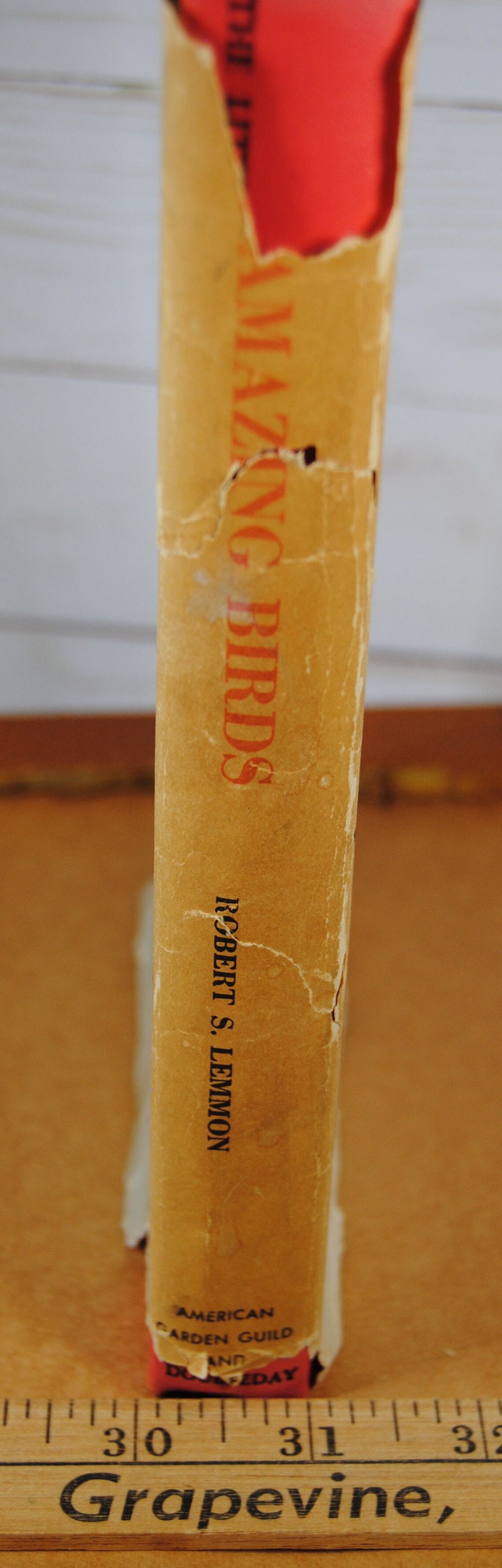 1952 Book Club Edition of Our Amazing Birds: the Little Known | Etsy